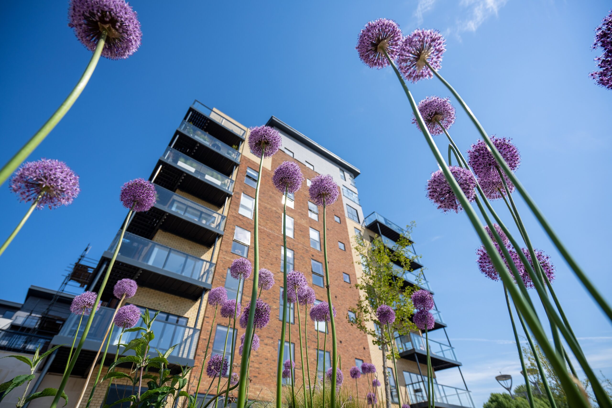 Social housing leaders and lenders come together to explore the role of ...